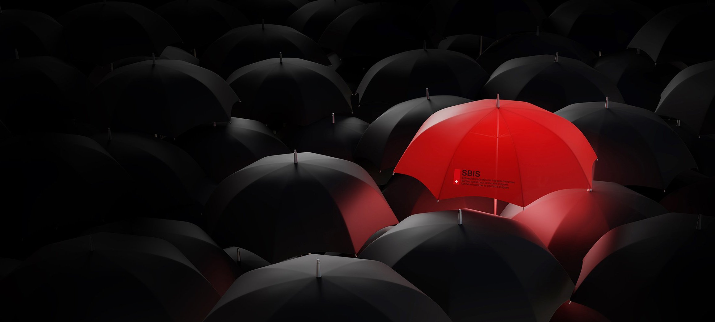 SBIS: Your partner for integral safety